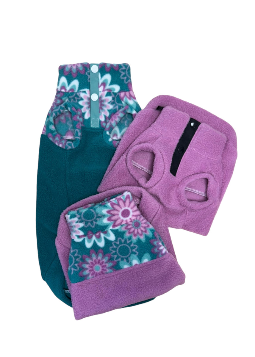 Kiwi - Montana teal – Chic sans poils