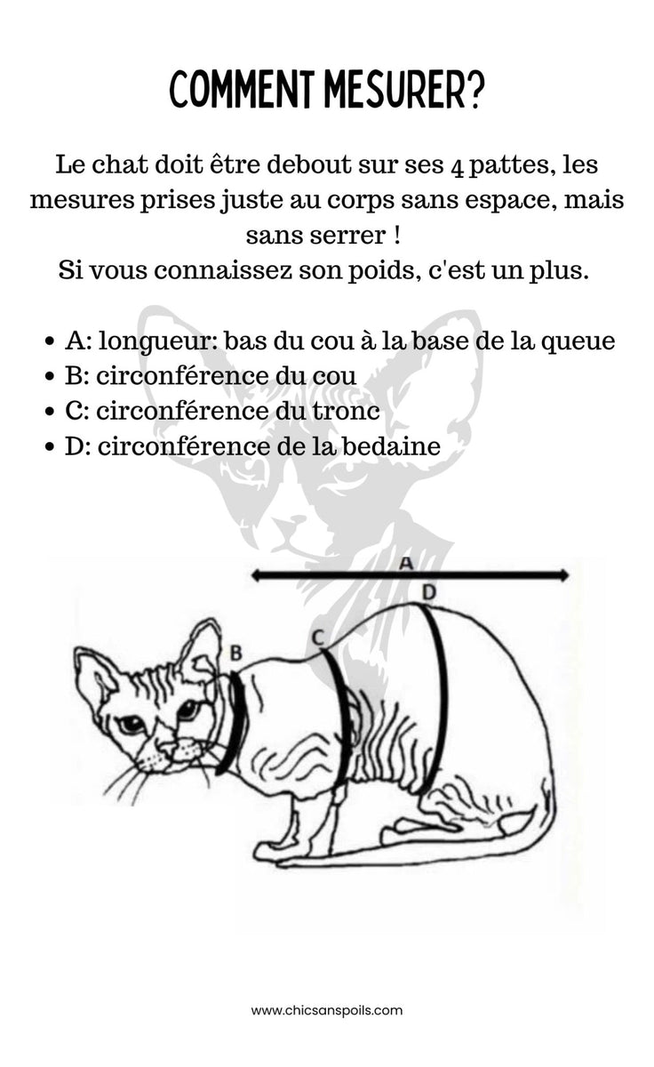 Pyjama SQUISHY - Écureuils 🐿️ – Chic sans poils